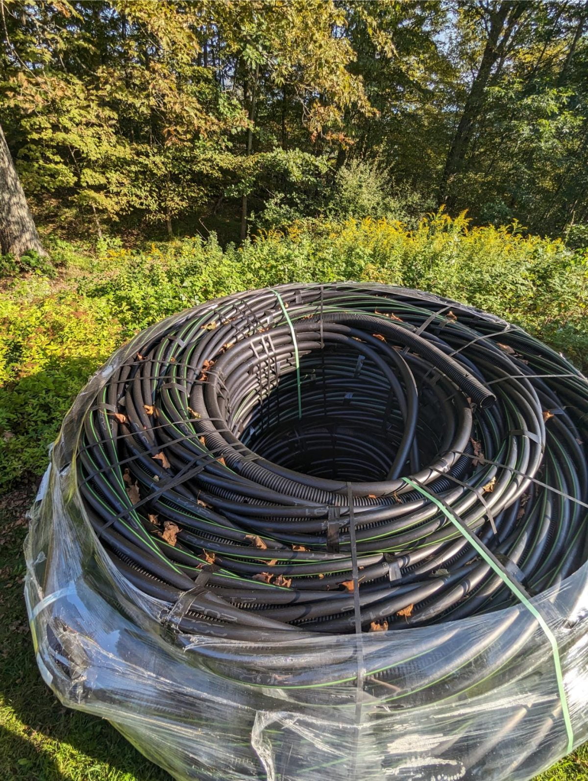 Reviews Energy Catalyst Tech